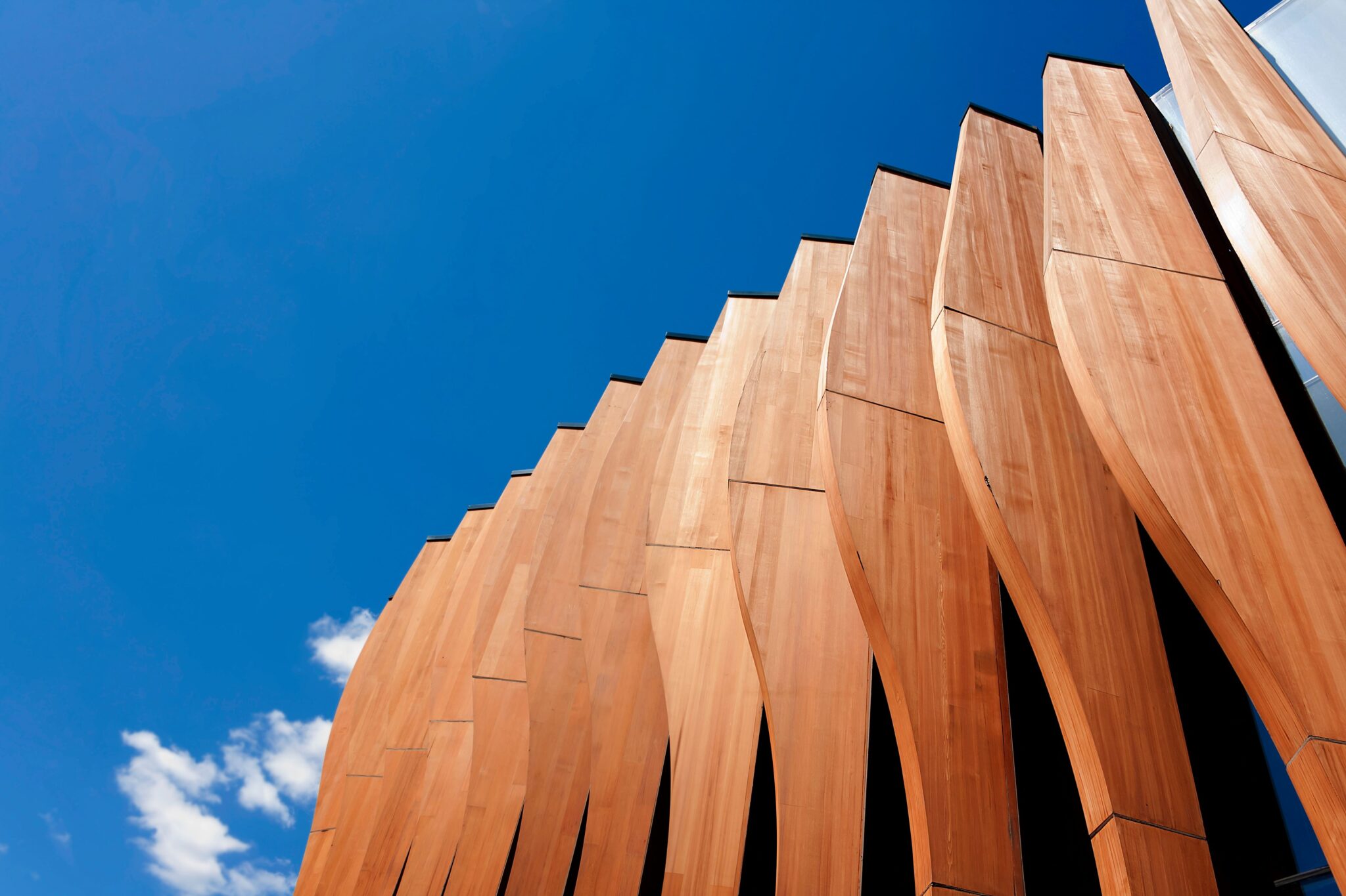 LP-Led and GP-Led transactions | Video Guide